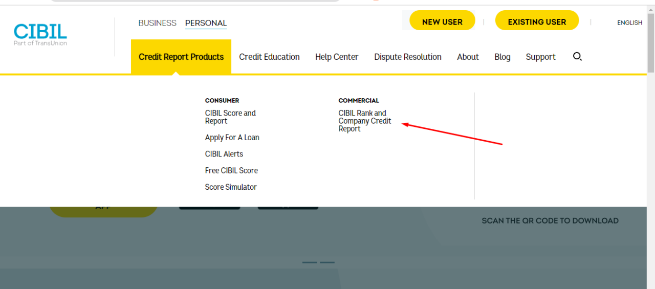 CIBIL Commercial Report: Features, Process, Document & More
