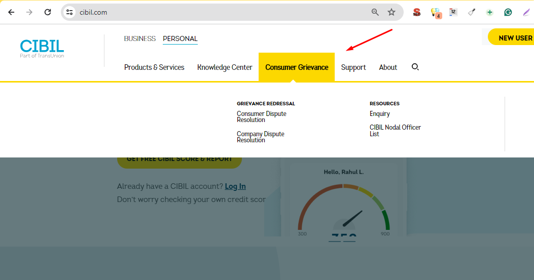 How to Raise a CIBIL Dispute Online, Offline and Check Status